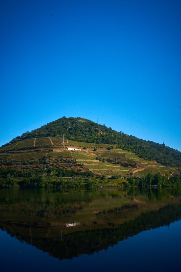 Pinhão: Conhecer uma Vila do Douro Vinhateiro - Rota do Amanhã